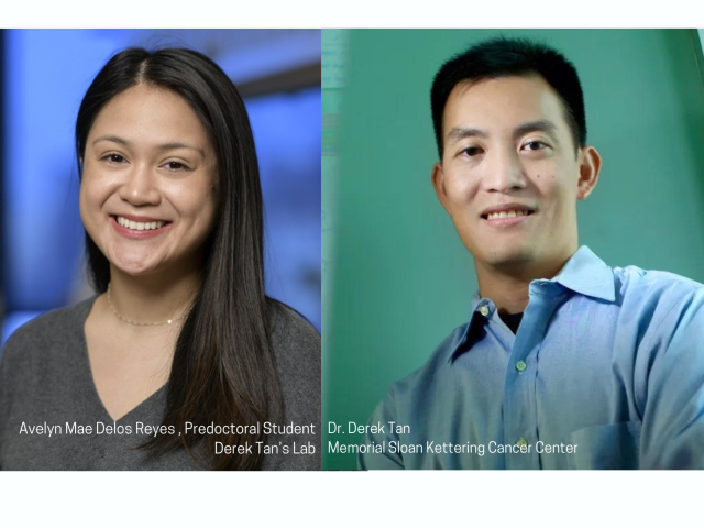 Pharmacology | Weill Cornell Medicine